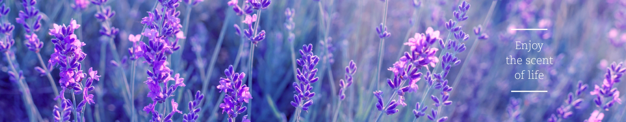 Inloopdouche – bekijk de collectie inloopdouches - De Wilde Tegels en ...