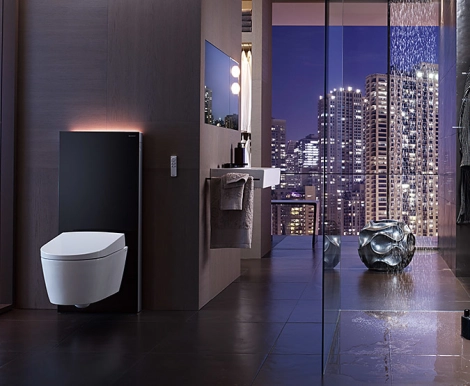 Geberit Rimfree toilet - De Wilde Tegels en Sanitair